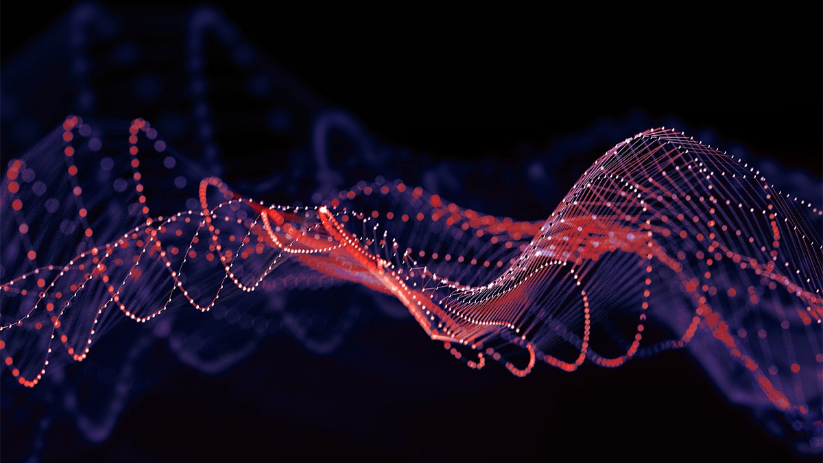 AI Platform Alliance | Open, efficient, sustainable solutions for ...